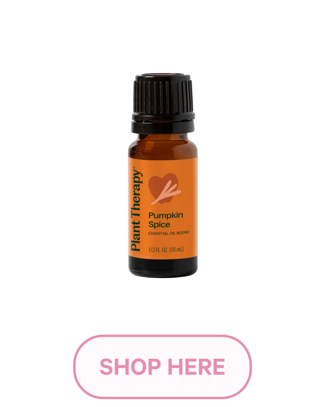 How to Make Your Home Smell Like Fall: DIY Pumpkin Spice Spray - Jill ...